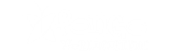 Fongo World Edition Registration